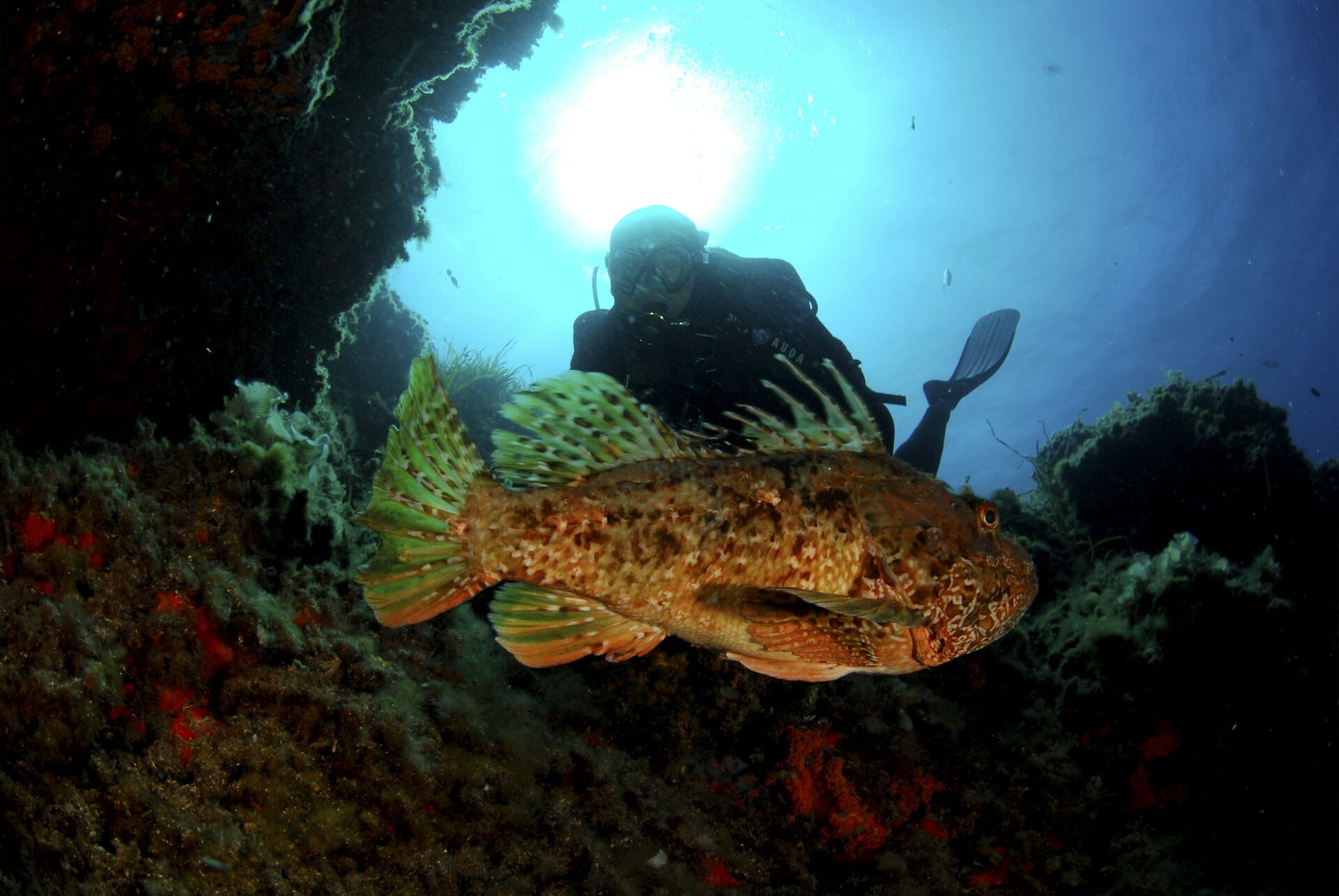 Accueil Aqualonde – Aqualonde